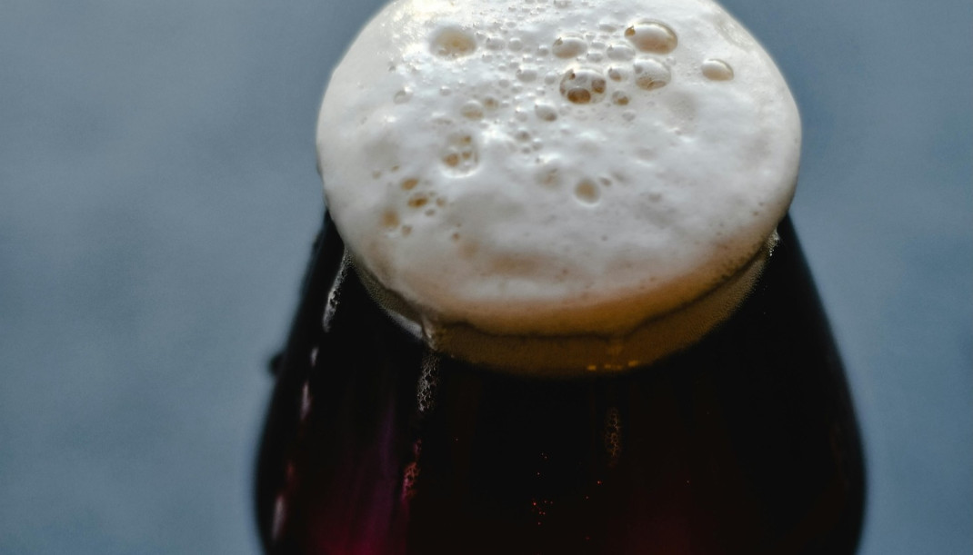 Dutch Beer Tasting | Stag Do Activity in Amsterdam